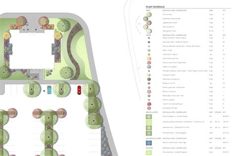 Urban Park Site Plan With Trees And Bushes