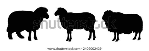 Sheep Silhouette Sheep Vector Illustration Stock Vector Royalty Free