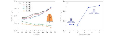 基于力 热 电化学耦合下固态锂电池枝晶生长的相场模拟