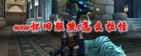 魔兽世界怀旧服熊t怎么拉怪wowtbc怀旧服熊拉怪手法介绍3dm网游