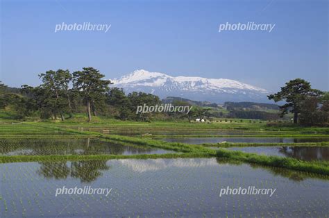 象潟の九十九島の水田と鳥海山 写真素材 2532850 フォトライブラリー photolibrary
