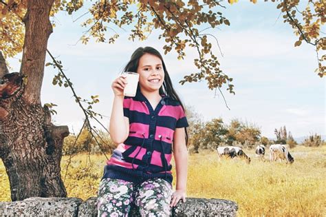 Gadis Memegang Susu Dengan Sapi Foto Stok Unduh Gambar Sekarang