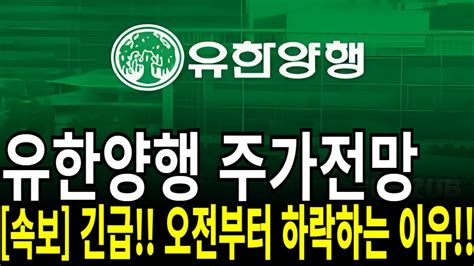 유한양행 주가전망 속보 긴급 오전부터 하락하는 이유 Feat디에스경제연구소 케빈 Youtube
