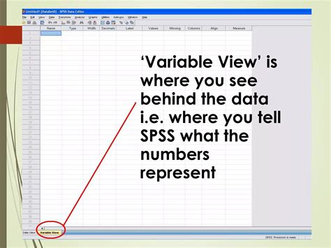 Basic Guide To Spss PPT