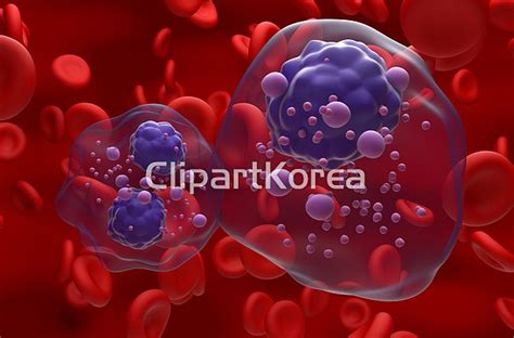 해외작가포토 클립아트코리아 통로이미지주