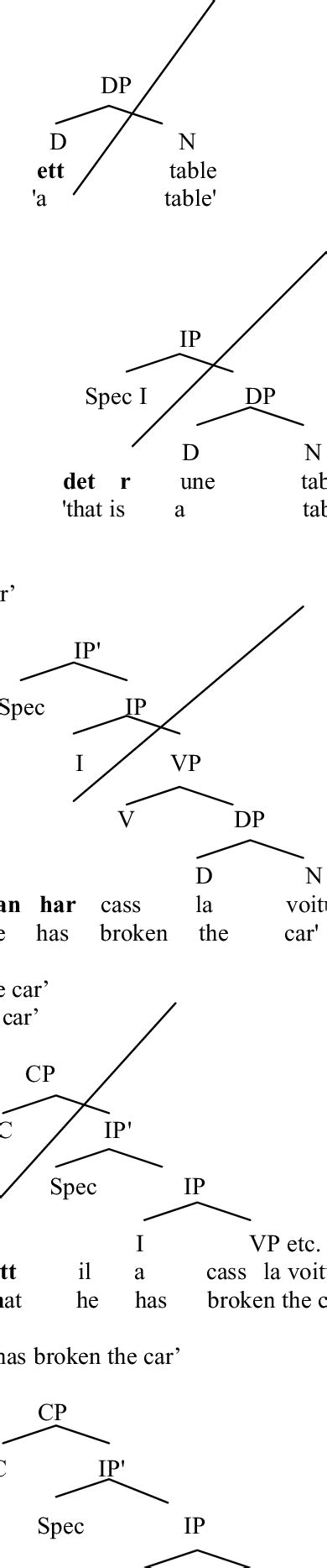 Idealized Development Of Syntactic Structure According To The Ivy Download Scientific Diagram
