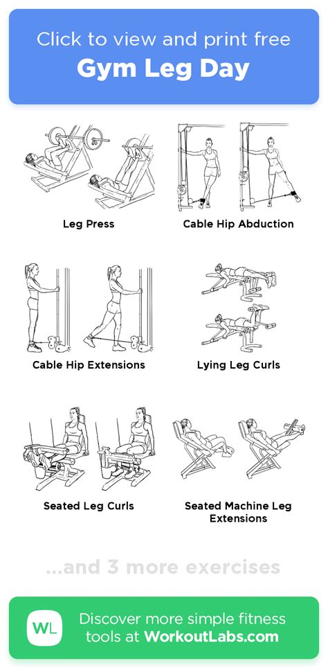 Free Workout Gym Leg Day · Workoutlabs Fit Leg Workout Women Gym