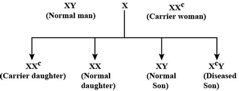 Pedigree Analysis Ncert Free Mcq Practice Test With Solutions Neet