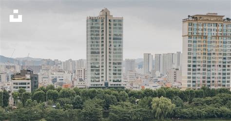 배경에 많은 나무와 건물이 있는 공원의 모습 사진 Unsplash의 무료 도시 이미지