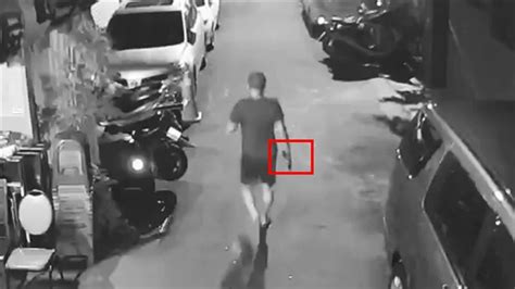 拿空氣槍射流浪喵星人 板橋劣男被逮稱驅趕 社會 三立新聞網 Setncom