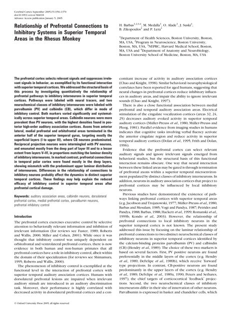 Pdf Relationship Of Prefrontal Connections To Inhibitory Systems In Superior Temporal Areas In