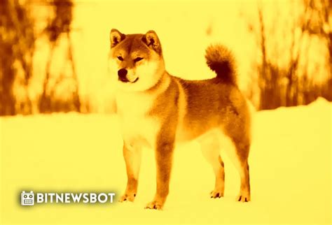 Shiba Inus Shibarium Enters Beta Phase Developer Outlines Rough