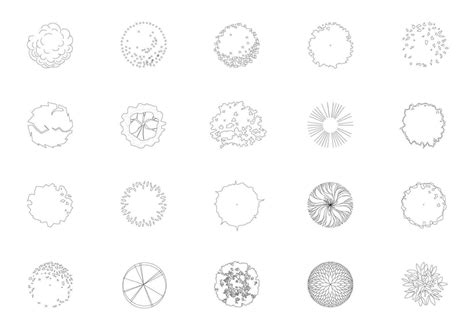 Tree Plan Plant Landscape Architecture Nature Park Garden Collection Vector Set Tree Outline