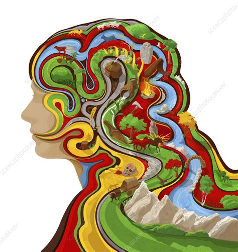 Ancestral Language Conceptual Illustration Stock Image C0586793