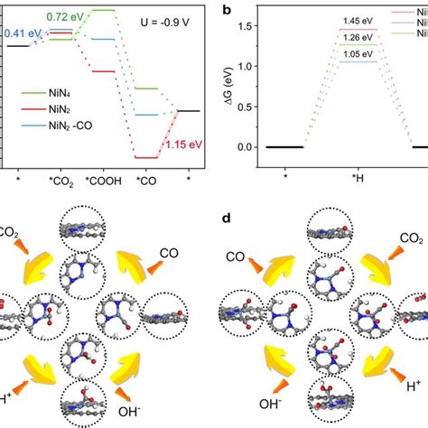 Honghe Ding Postdoctor Phd University Of Science And Technology Of China Hefei Ustc