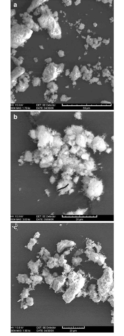 Sem Micrograph Of Hydroxyapatite Samples 1 A 2b 3c Download