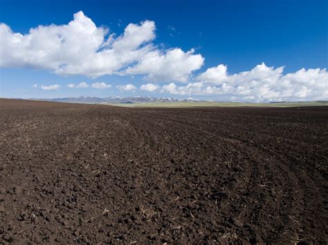 Soil Fertility Washington State University