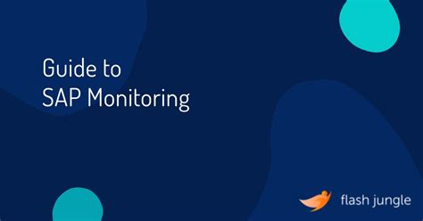 Guide To SAP Monitoring Flash Jungle