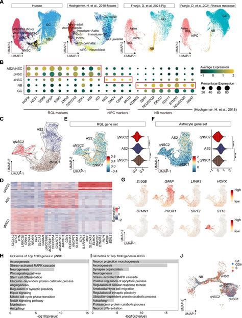 Molecular Cell Micromachines Free Full Text Engineering Microfluidic