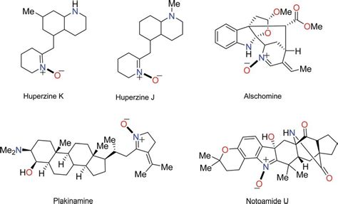 Natural Structures With Nitrone Frameworks Download Scientific Diagram