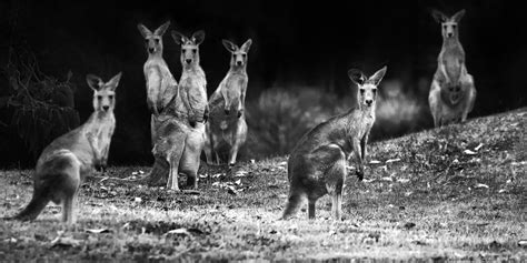 野村誠一 SEIICHI NOMURA Website