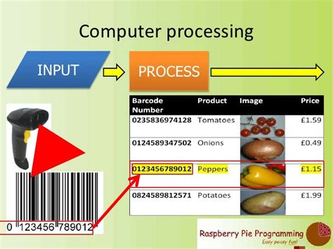computer systems input process output