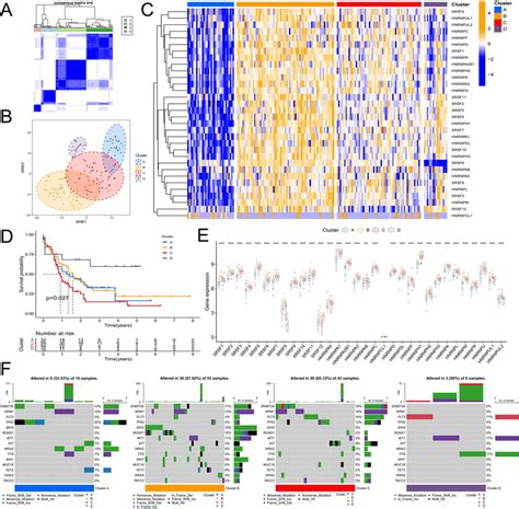 Identification Of Sfs Related Regulatory Patterns A Aml Patients Were Download Scientific