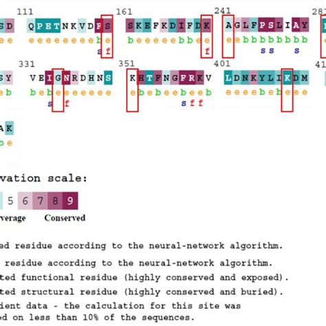 Consurf Profile Of Lppa Protein Of Mcc Atcc 27234 The Red Rectangle