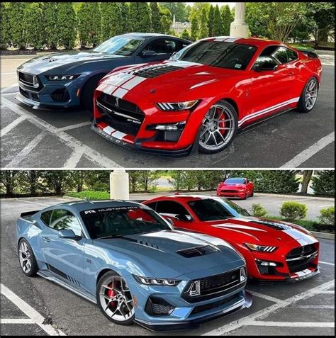 Classic Ford Mustangs