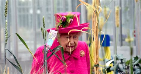 A Sus 93 Años La Reina Isabel Ii Rechazó Ayuda Para Plantar Un árbol