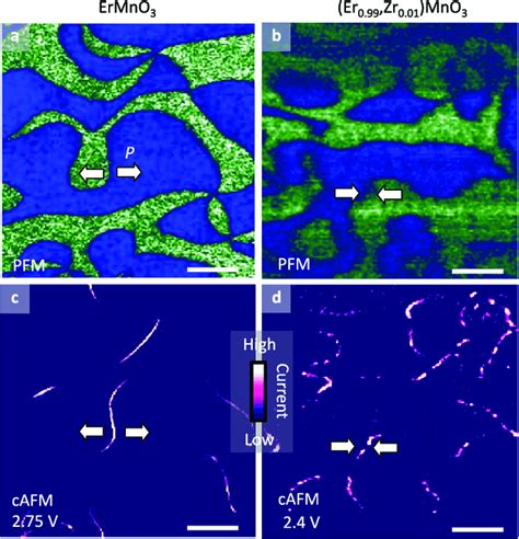 Ferroelectric Domain Structure And Conductance Maps A And B Pfm Data