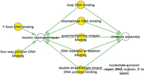 An Example That Five Different Types Of Dna Binding Proteins Are Download Scientific Diagram