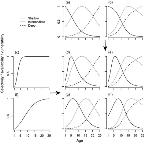 The Effect Of Selectivity And Availability On The Vulnerability At Age