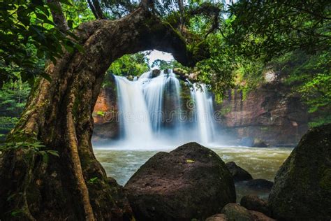 热带雨林中宁静瀑布的景观 库存照片 图片 包括有 风景 结构树 旅行 公园 瀑布 秋天 春天 168620238