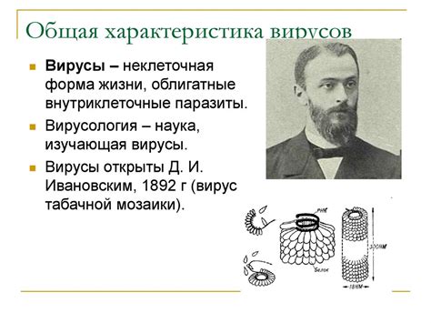 Классификация и структура вирусов Культивирование и репродукция
