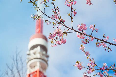 Apply To The 2023 Viterbi Writ 340 Fall Lead Program In Tokyo