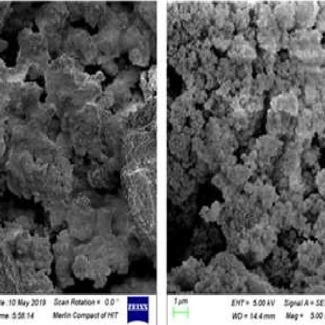 A Youngs Equation B Wenzel State C Cassie Baxter State D Download Scientific Diagram