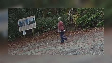 Search For High Risk Missing Female Hiker Expanded In Sooke B C Bc