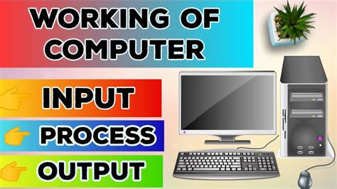 Input Process Output Cycle Ipo Working Of Computer What Is Ipo Cycle Digitalyogit9883
