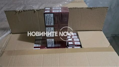ГДБОП разкри още един склад за нелегални цигари СНИМКИ Престъпления