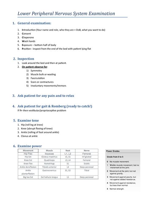 Lower Peripheral Nerve Examination Lower Peripheral Nervous System Lower Peripheral Nerve Examination Lower Peripheral Nervous System