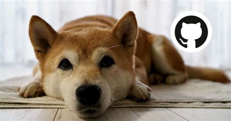 Github Api：建立 Issue、comment Github App Api Lets Write