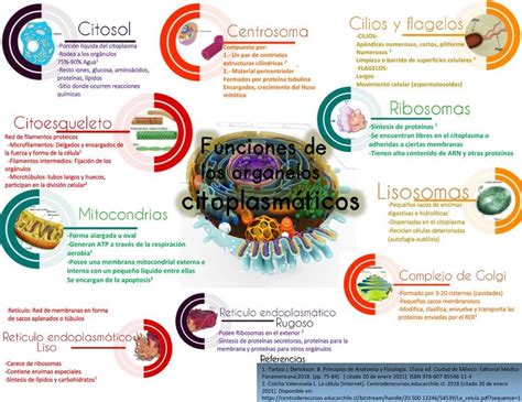 Biología uDocz