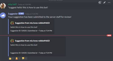 Miu S Discord Server Setups EXPERIENCED FAST CHEAP PRICES