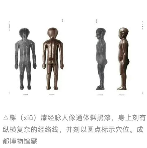 失传2000多年的扁鹊医书找到了