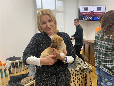 У Київраді роздають цуценят яких врятували з окупованих територій