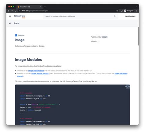 Customizing Machine Learning Models The Easy Way Google Codelabs