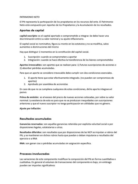 Patrimonio Neto Pdf Auditoría Valor Neto