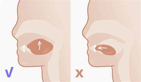 Mewing What Is It And Does It Actually Work Healthnews
