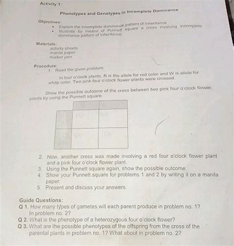 Activity 1 Phenotypes And Genotypes In StudyX